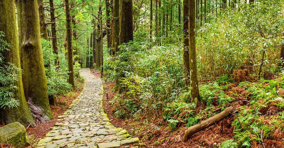 Sacred Spaces | CORE