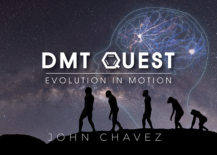 DMT Quest: Evolution in Motion