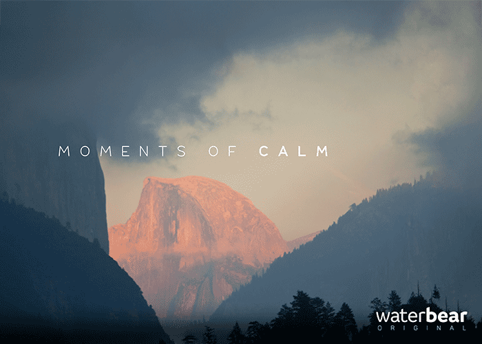 Moments of Calm