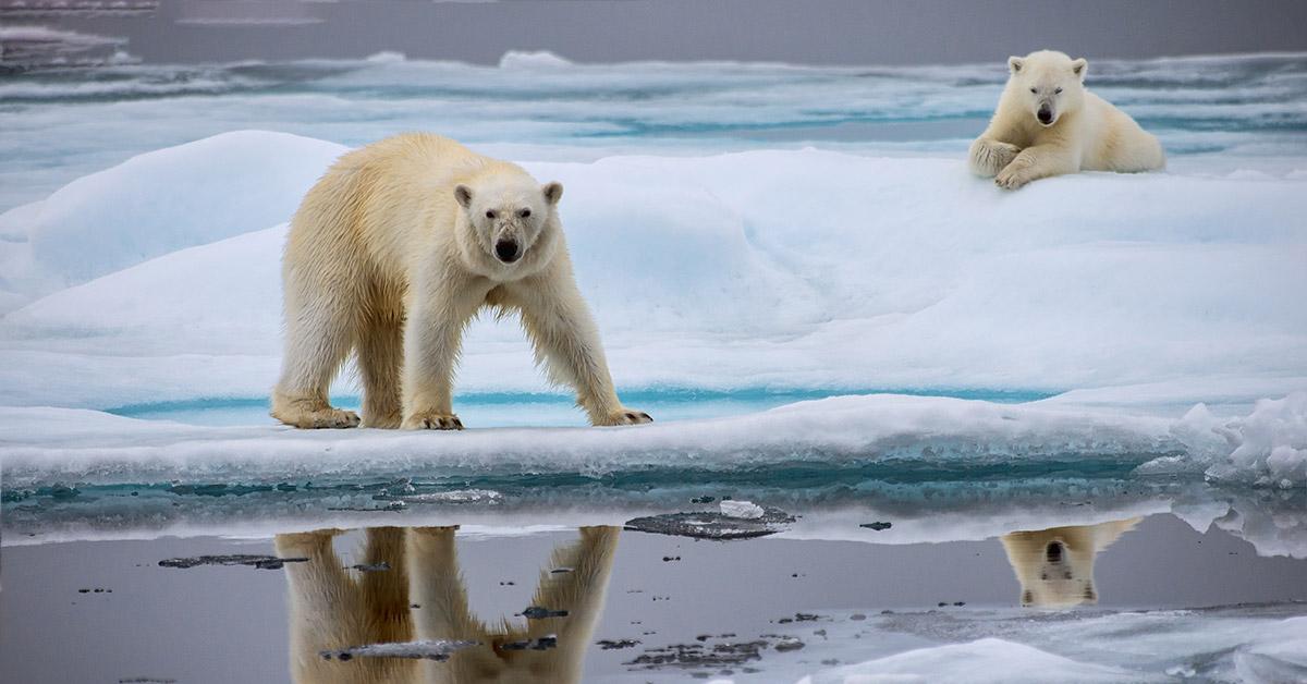 Arctic Warming: The Northern Front | CORE